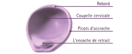 Le renouveau du diaphragme comme moyen de contraception - Blog de Bivea